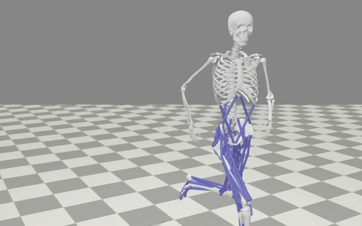 【OpenSim保姆级教程】人体跑步下的肌肉驱动(Muscle-actuated ...