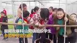 【上海】学生体验农耕文化 增强学生们的实践能力