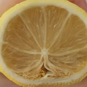 蓝色向往CKS 