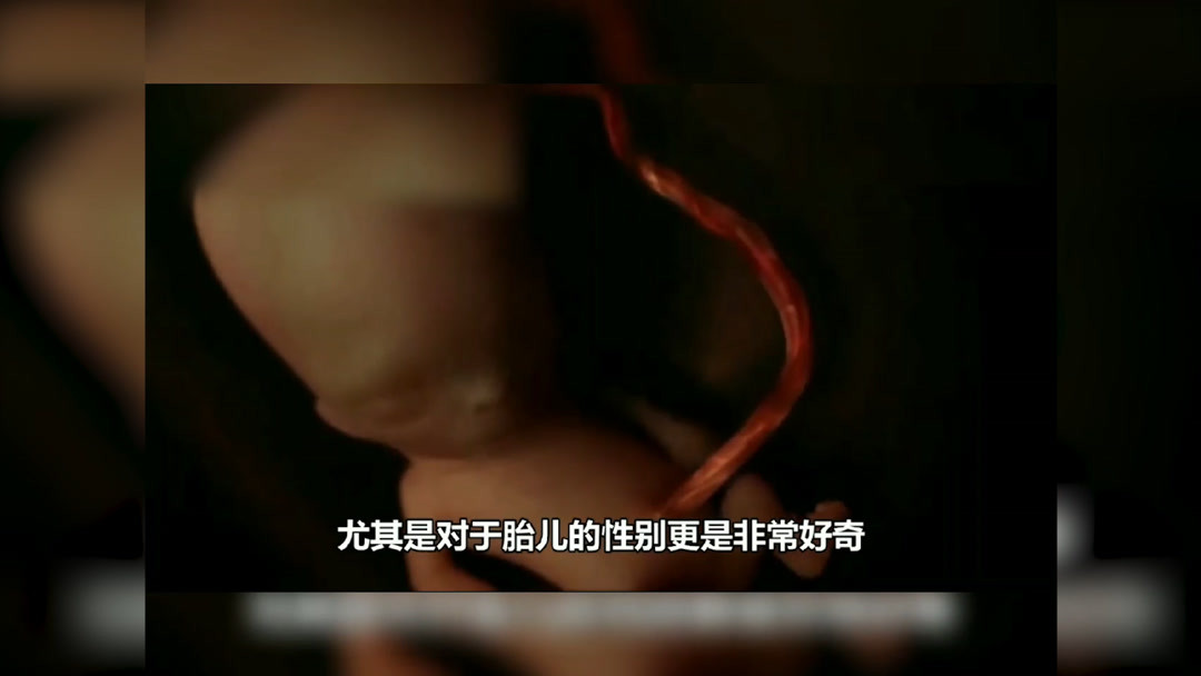 杭州玛莉亚妇产:视觉盛宴,三维动画模拟胎儿形成及发育过程