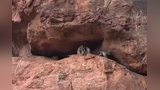 印度卡纳塔克邦巴达米石窟寺庙浮雕(7071)1080P
