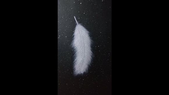 零基础丙烯画入门教程 :画个羽毛