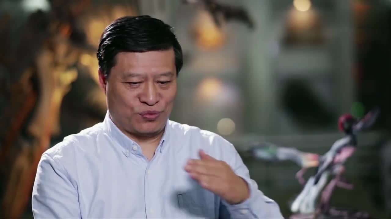 羽毛是否为鸟类独有?