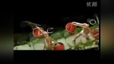 美在广西宣传片视频桂林山水视频阳朔旅游资