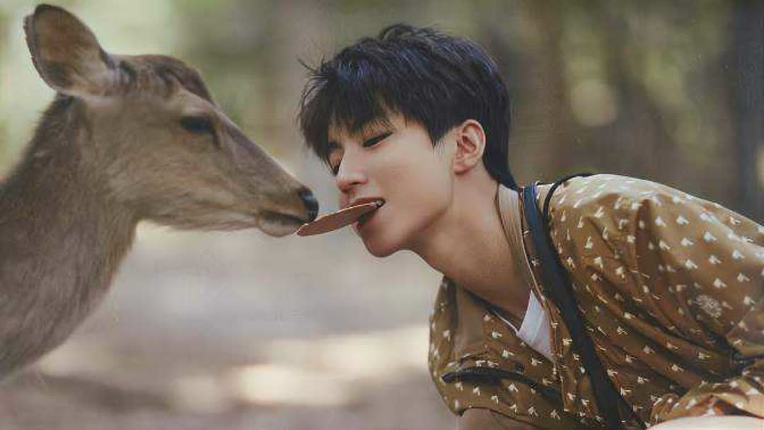 王俊凯毕业签名字体可爱,和之前签名变化很大,大明星秒变乖乖仔