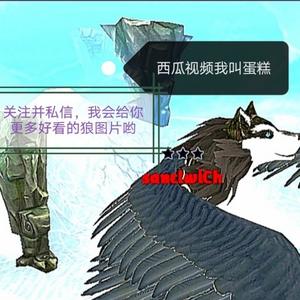 我叫蛋糕一只会飞的狼 