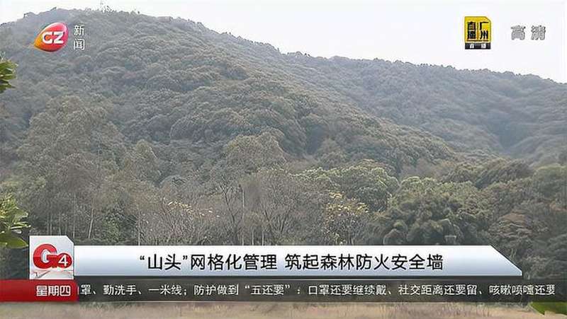 “山头”网格化管理 筑起森林防火安全墙