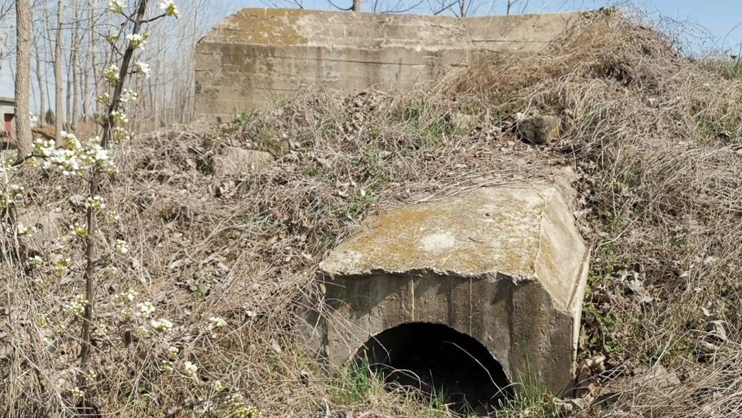 网友介绍的废弃碉堡,含着泪也要爬进去一探究竟