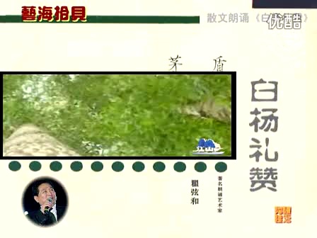 艺海拾贝散文朗诵《白杨礼赞》