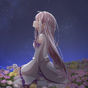 仰望星空的艾米莉亚 