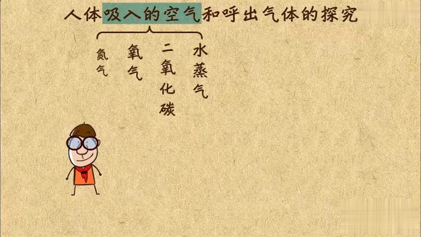 【乐乐课堂:初中化学九年级上】6. 对人体吸入的空气的探究