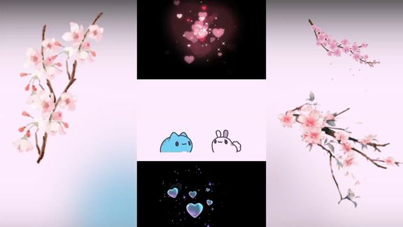 这么可爱的小猫咪,不知道能不能萌化你们的心