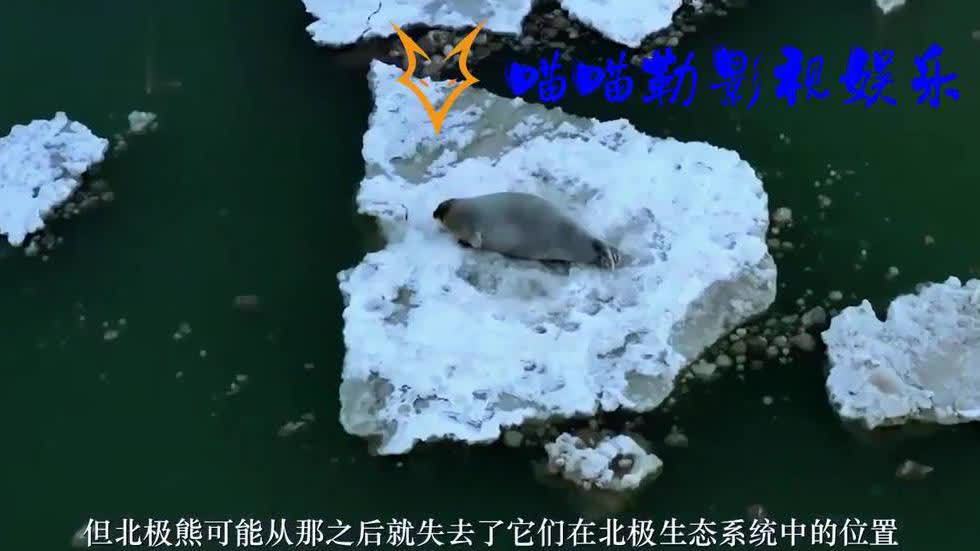 一旦全部冰川融化,会造成什么影响?