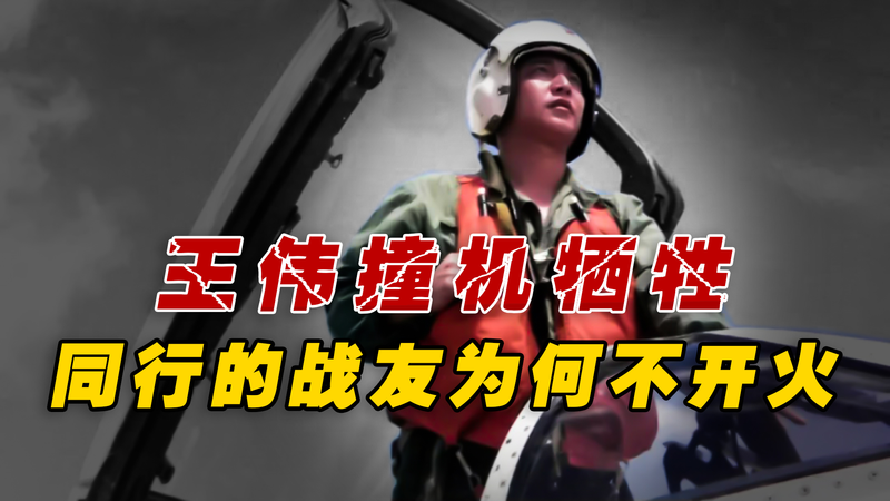 2001年中美南海撞机,战友赵宇目睹王伟牺牲过程,为何不开炮还击