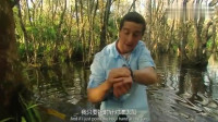 荒野求生:沼泽里很难辨别方向,贝爷拿出了手表,指针对准太阳!
