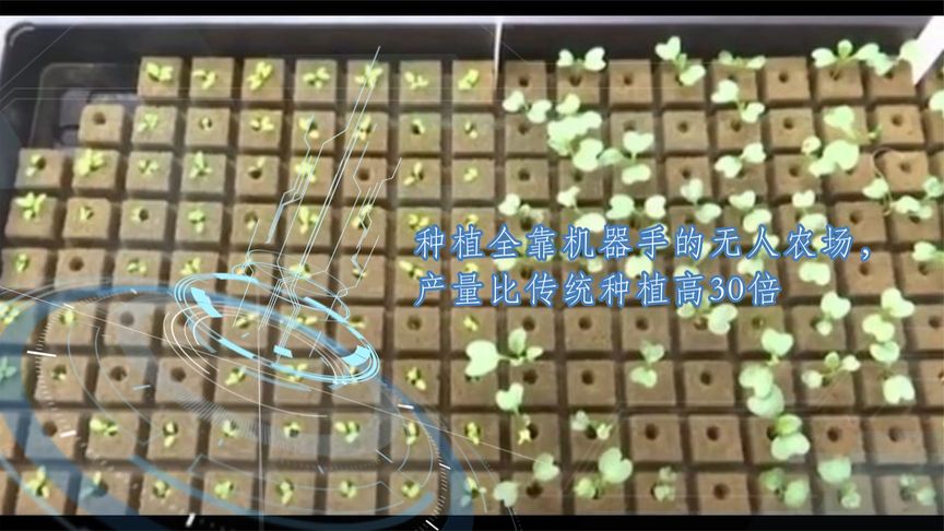 种植全靠机器手的无人农场,产量比传统种植高30倍