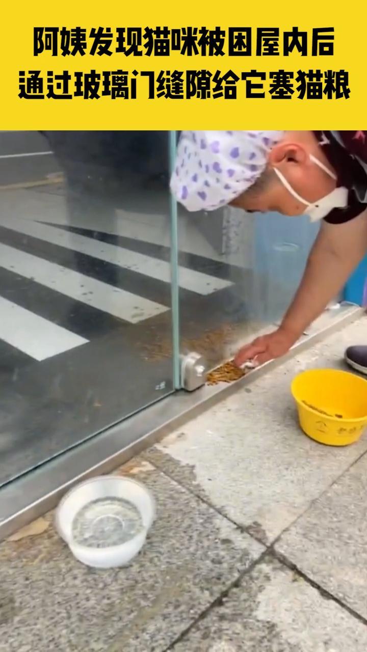 ...一幕!阿姨发现猫咪被困屋内后,每天通过玻璃门的小缝隙给它塞猫粮