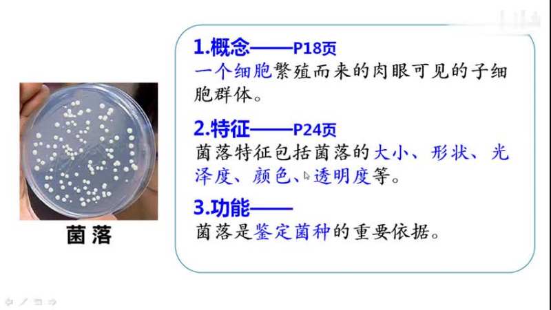活动作品生物选修一 微生物的实验室培养