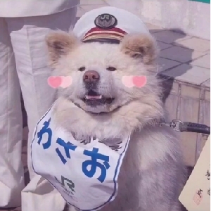财神爷的宠宝 