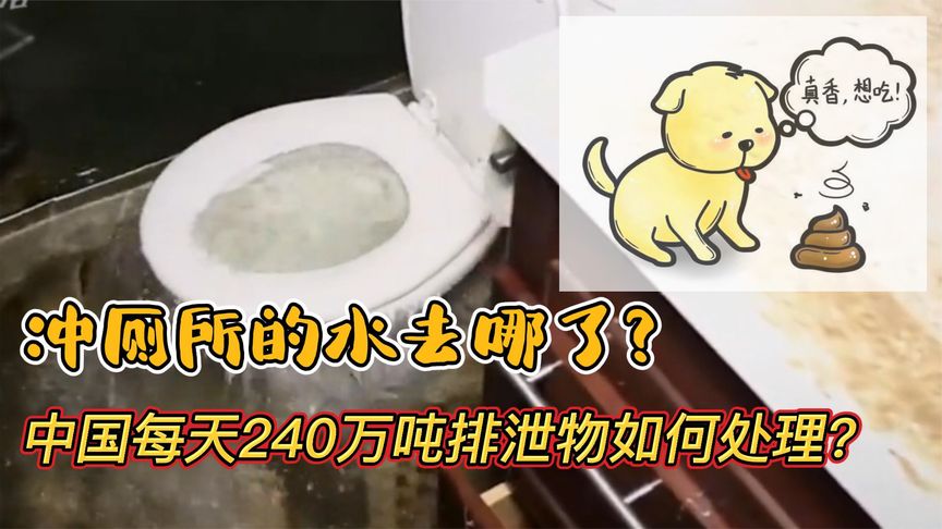 中国每天产生240万吨排泄物,该如何处理?