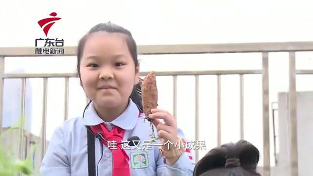 广州一学校天台种菜成必修课,学校:探索"家校社"共育模式