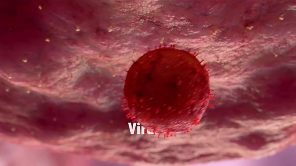 3D动画展示病毒是如何繁殖的?