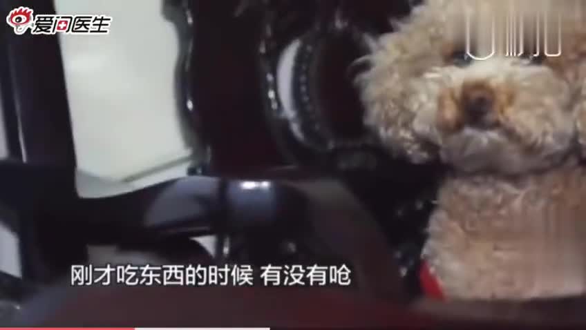 真实记录急救人员抢救患者过程,他们的生命燃烧在生死时速上