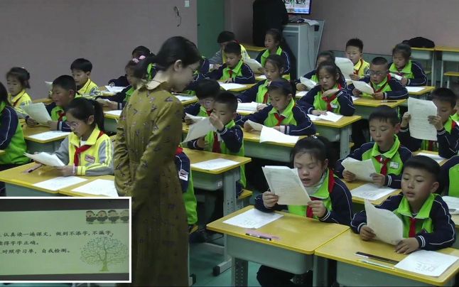 ...实录 小学语文 部编版 人教版语文 三年级下册 3年级下册(执教:石晓艺)