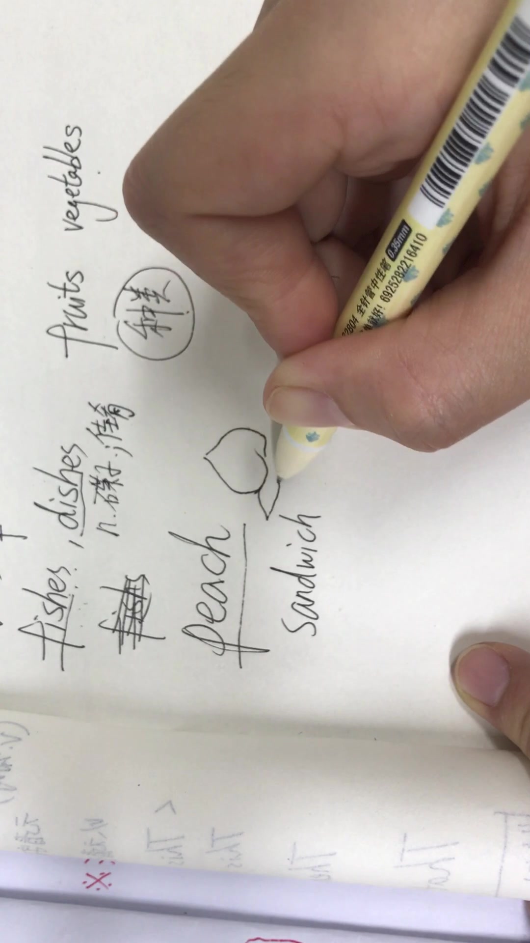 名词单数变复数规则