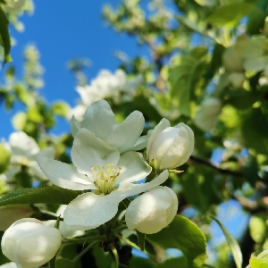 江湖散仙畅饮汤 