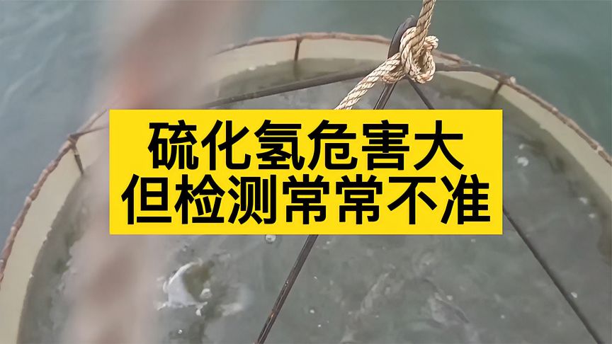 水产养殖中,硫化氢危害极大!但为什么准确检测很难?