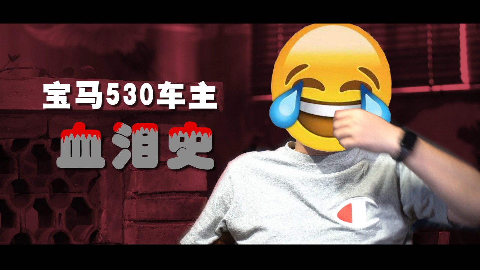 值不值得买 宝马530车主血泪史
