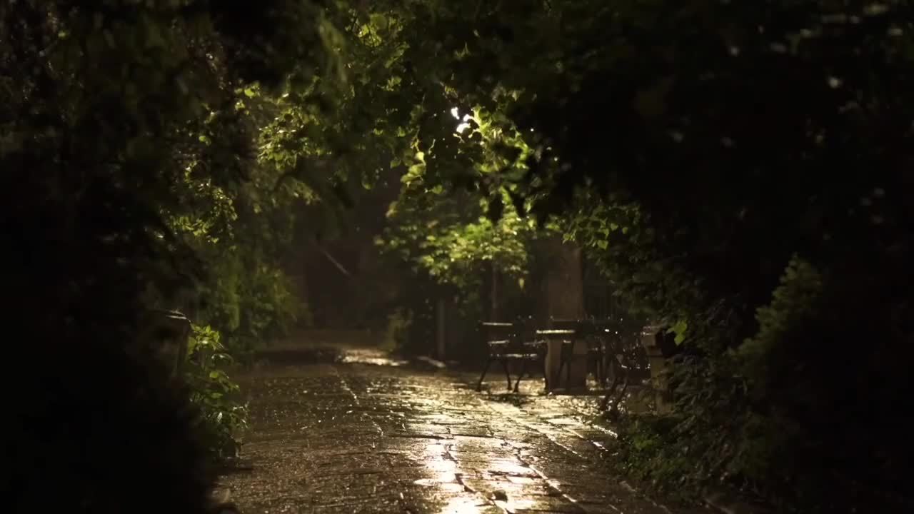 我晒干了沉默悔的很冲动