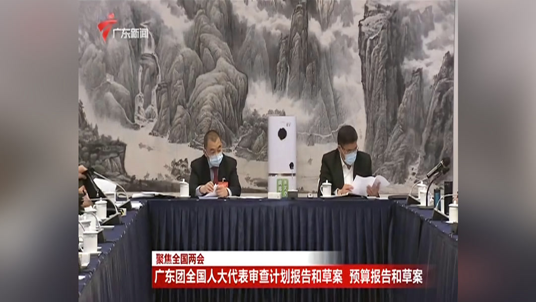 广东团全国人大代表审查计划报告和草案 预算报告和草案