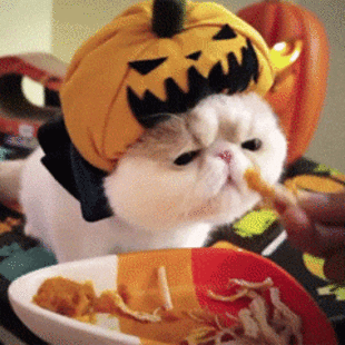 怪兽_猰貐 