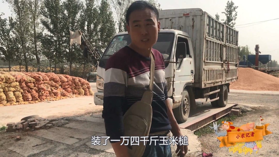 山东收粮华哥买1万4千斤玉米,7毛6一斤卖出,大家觉得合算吗?