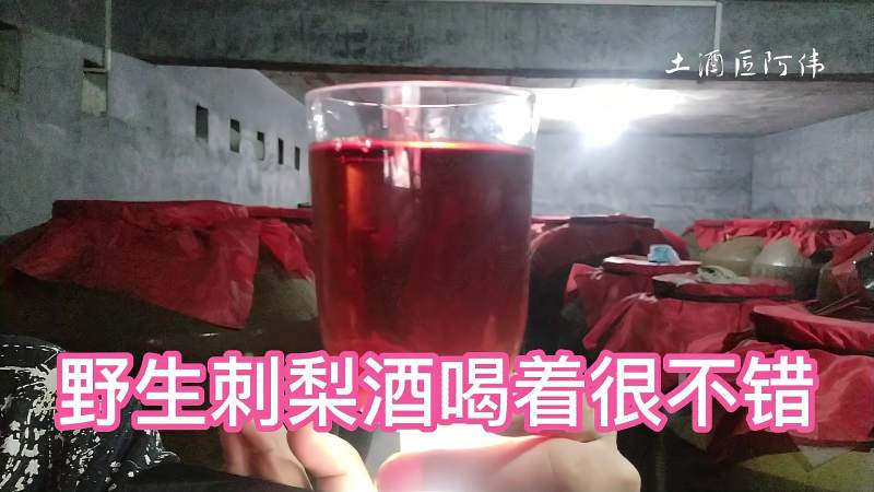 被称维C之王的野生刺梨,在农村用来泡酒,口感独特