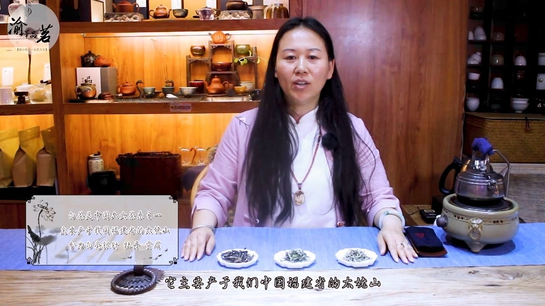 白茶的种类,你知道吗?来学学