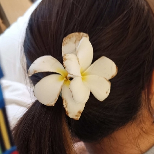 爱吃的紫紫 