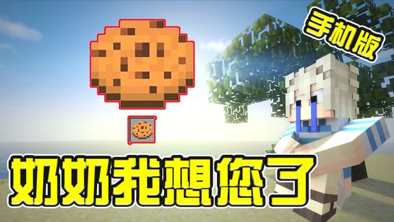 我的世界手机版模组:击败病毒,跑到奶奶家,只为了见她一面!