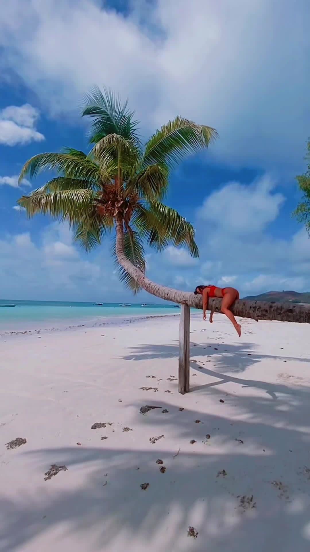 塞舌尔索尼娅博士岛#带你看世界 #唯美意境 #阳光沙滩海浪