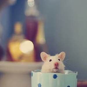 会计学堂小沈老师