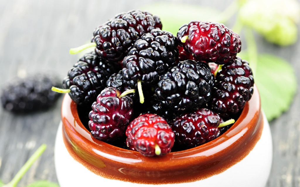 桑葚好吃但并不适合所有人,这3类人可别乱吃,看完记得告诉家人