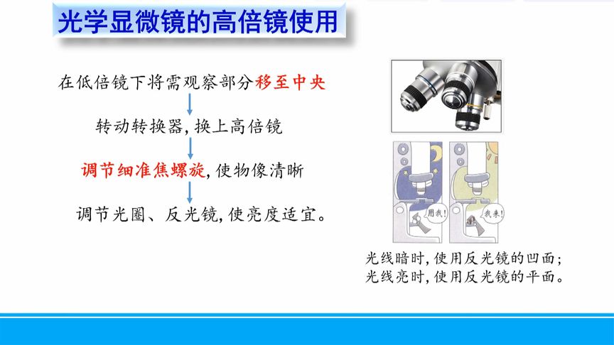 光学显微镜的高倍镜使用