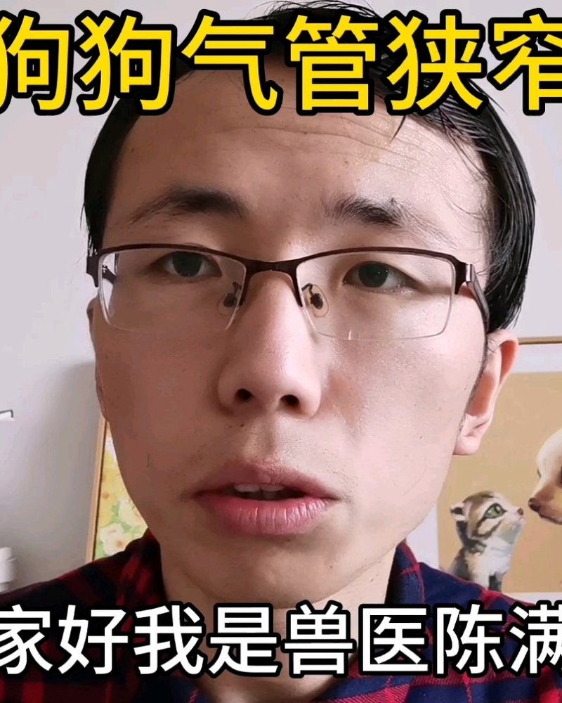 狗狗气管狭窄知识。