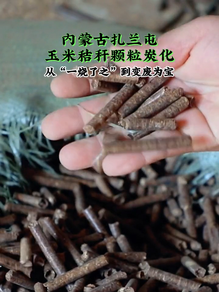内蒙古扎兰屯。玉米秸秆颗粒炭化,从"一烧了之"到变废为宝