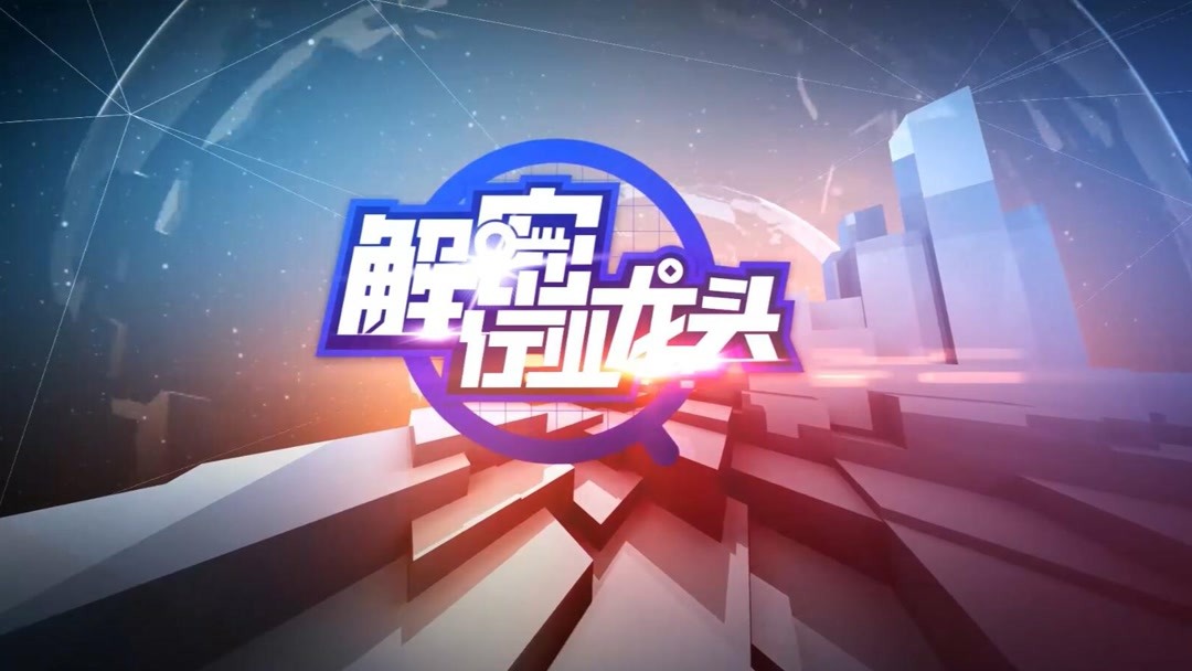 解密行业龙头--关注决定市场最重要的一个“指标”