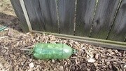 简易捕鼠器制作教学