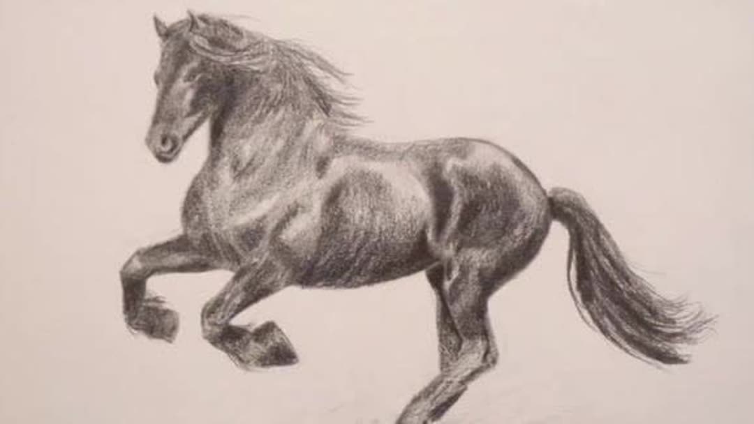 简笔素描教学:3分钟教你画一匹马!