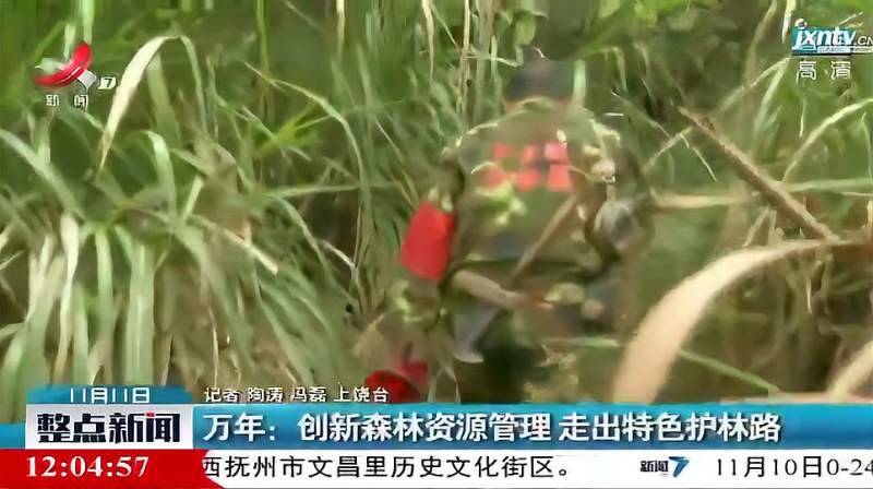 万年:创新森林资源管理 走出特色护林路